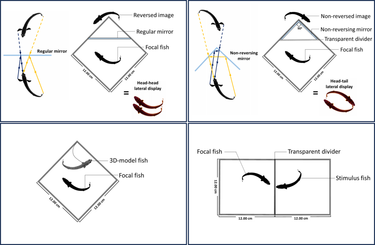 Research – Li Lab – UMBC