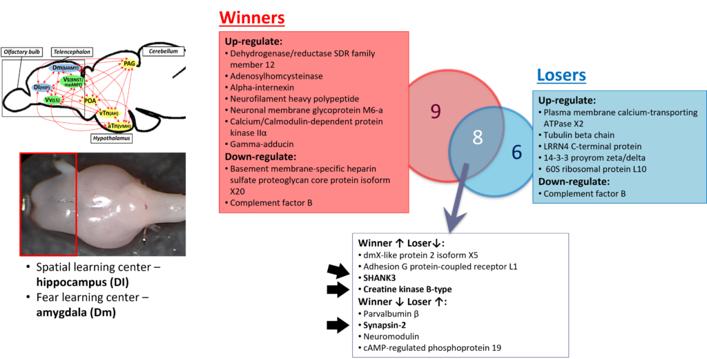 Research – Li Lab – UMBC